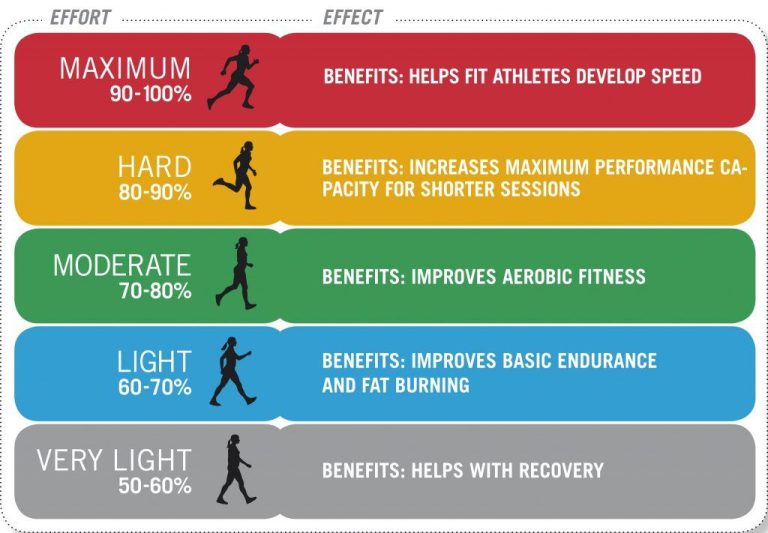 How to Measure Heart Rate for Optimal Cardio Benefits - The traditional ...